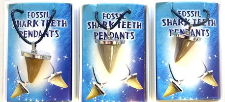 JUMBO SHARK TOOTH FOSSIL REPLICA NECKLACES IN INDIVIDUAL DISPLAY – SPY ...